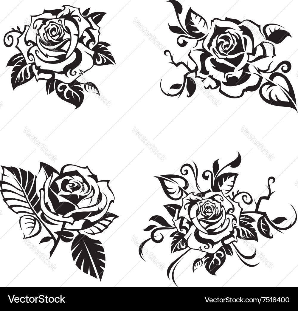 Black rose set Royalty Free Vector Image - VectorStock