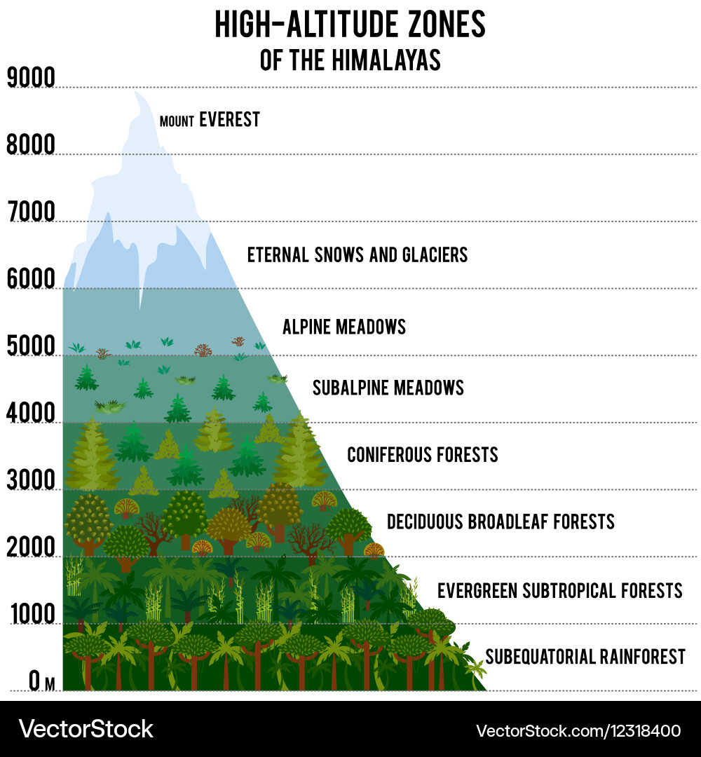 With high-altitude zones Royalty Free Vector Image