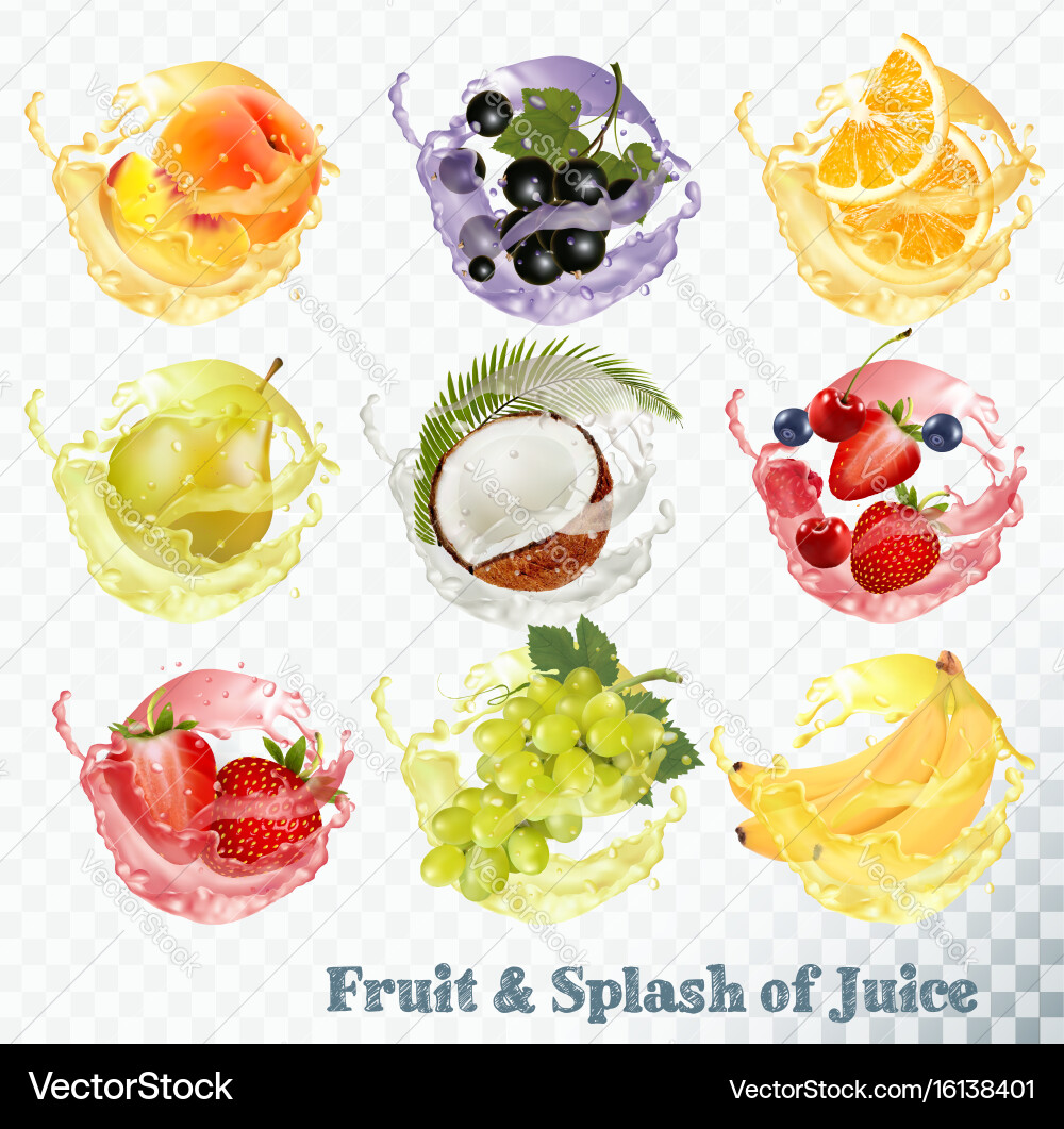 Fruit Splash - Juicy Fruits Royalty Free Vector Image