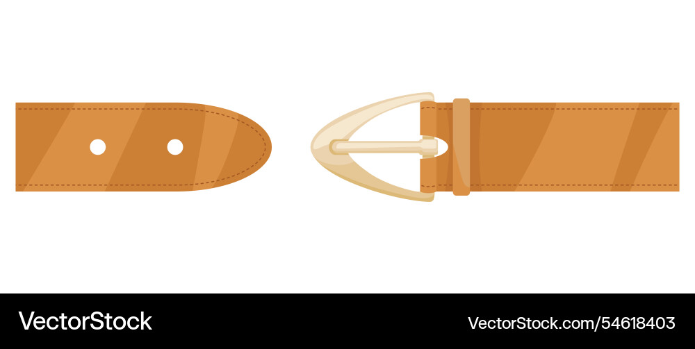 Leather belts with buckle isolated on white Vector Image