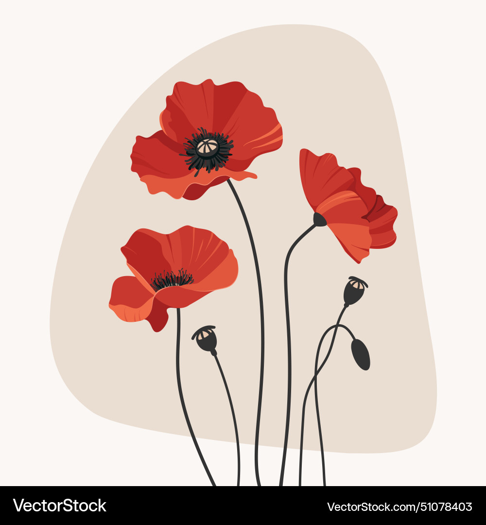 Three red poppies in vase Royalty Free Vector Image