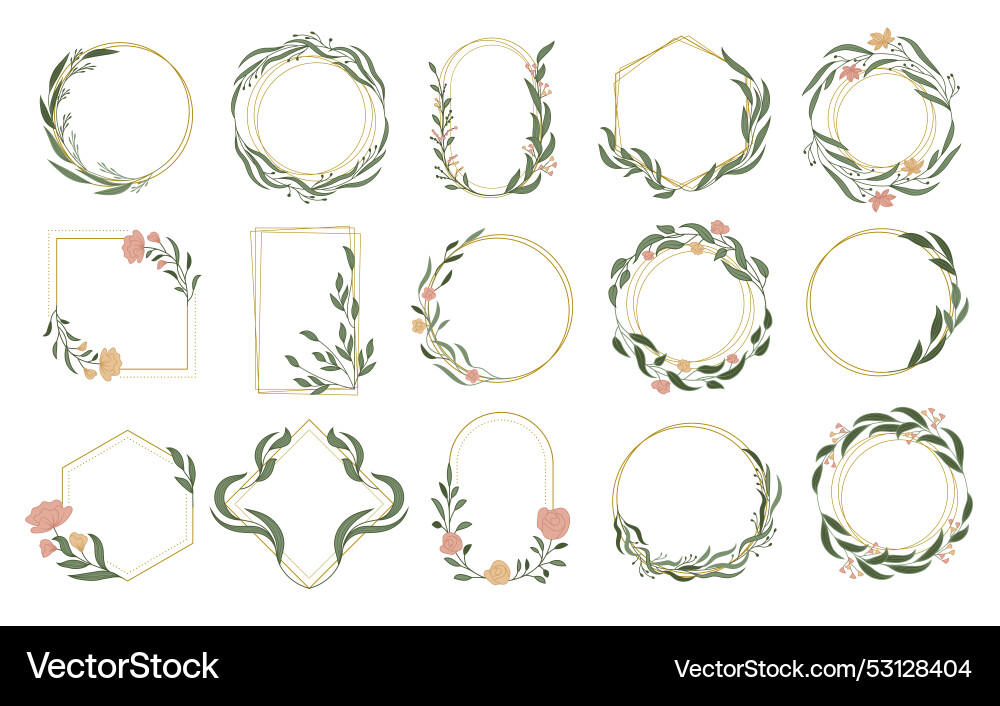 Botanical frames floral design templates Vector Image