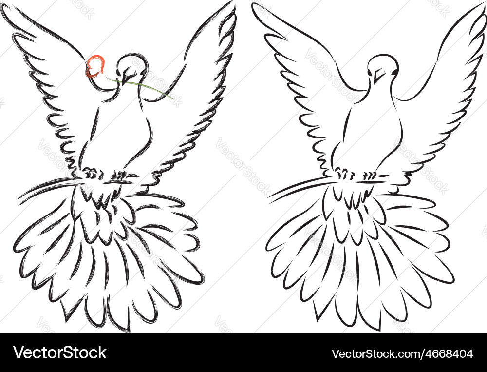 Dove line art Royalty Free Vector Image - VectorStock