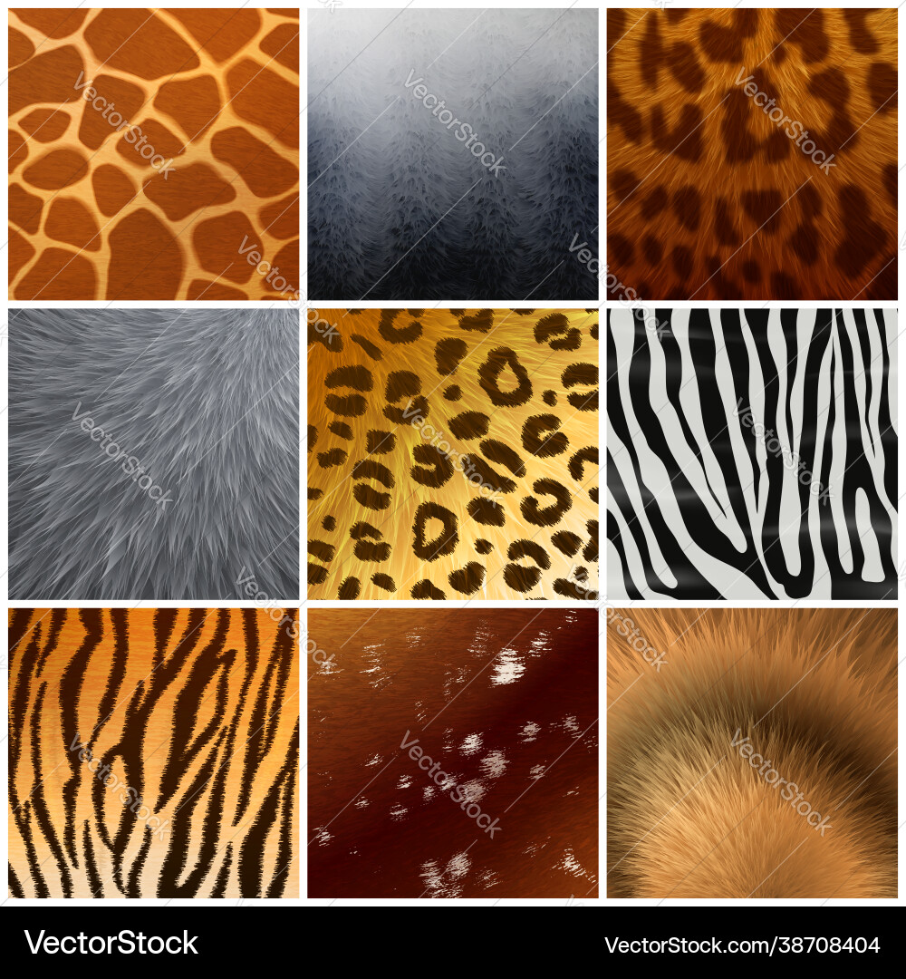 Fur texture realistic set Royalty Free Vector Image
