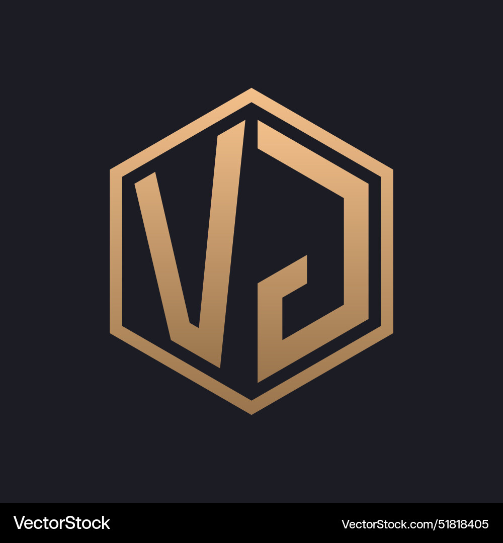 Elegant hexagon letter vj logo design initial Vector Image