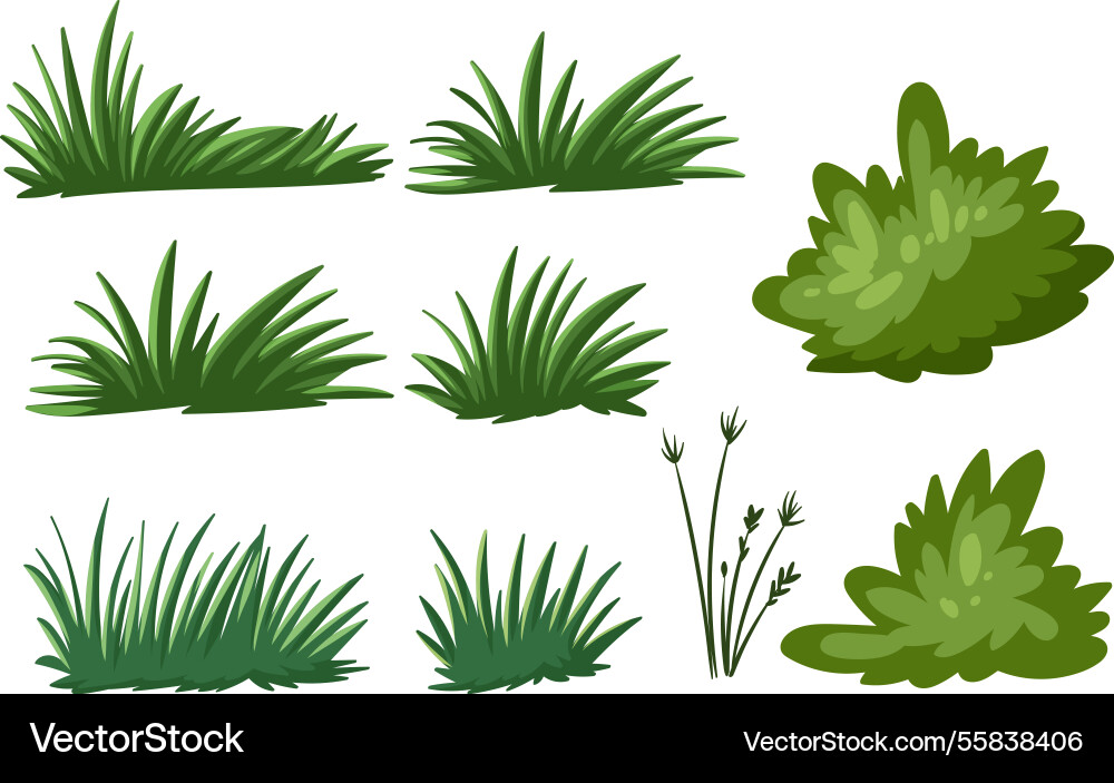 A collection of stylized green foliage featuring Vector Image