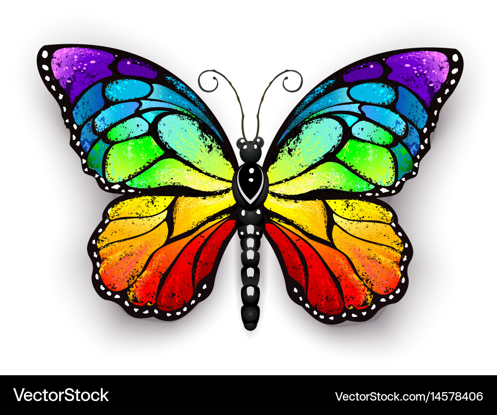 Rainbow monarch butterfly Royalty Free Vector Image