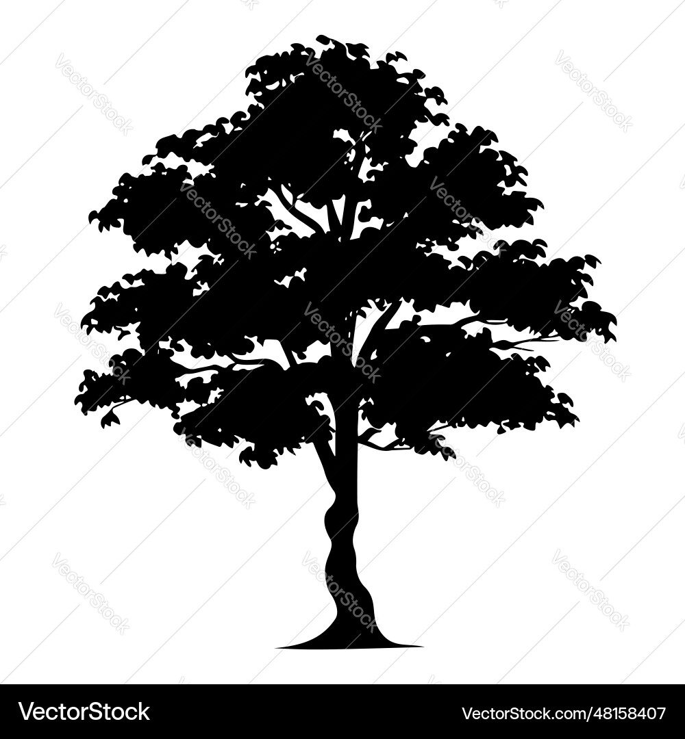 Oak tree silhouette Royalty Free Vector Image - VectorStock