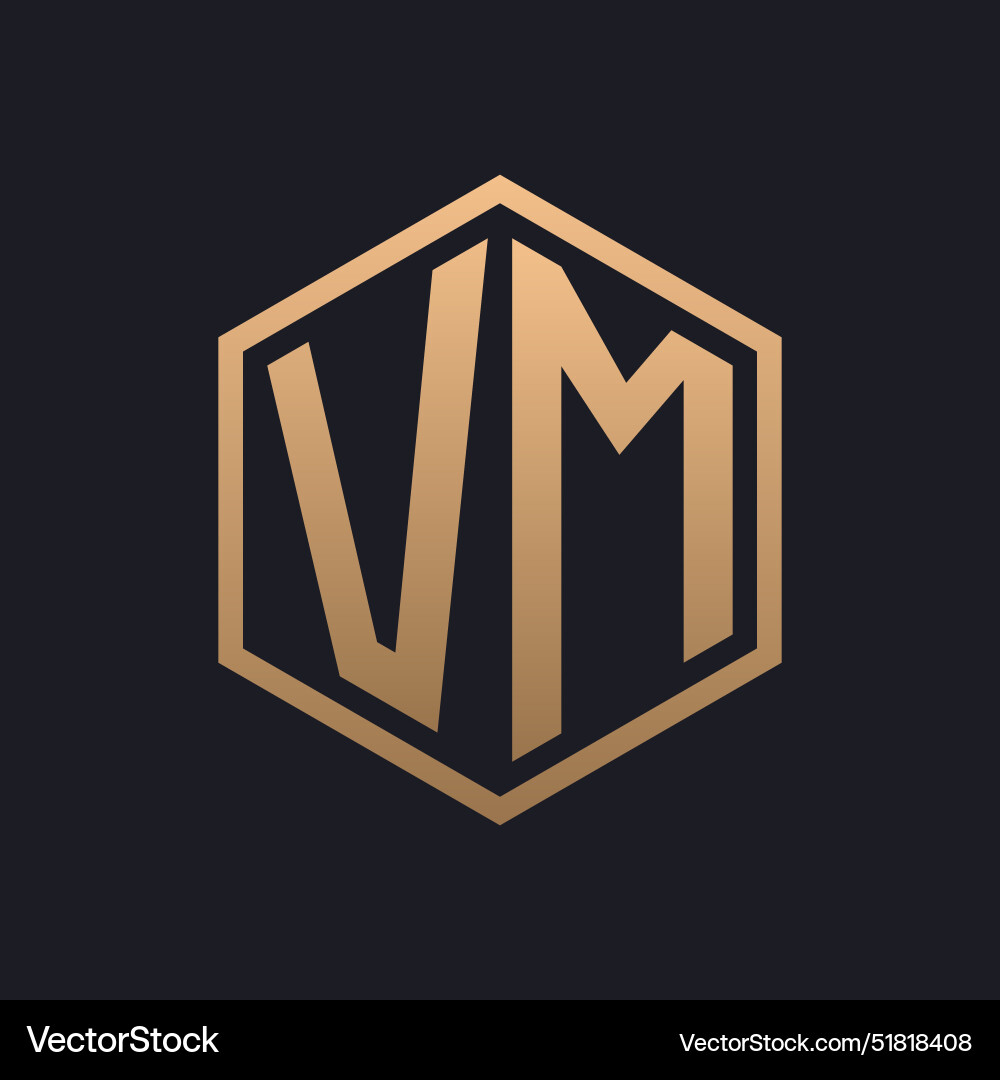 Elegant hexagon letter vm logo design initial Vector Image