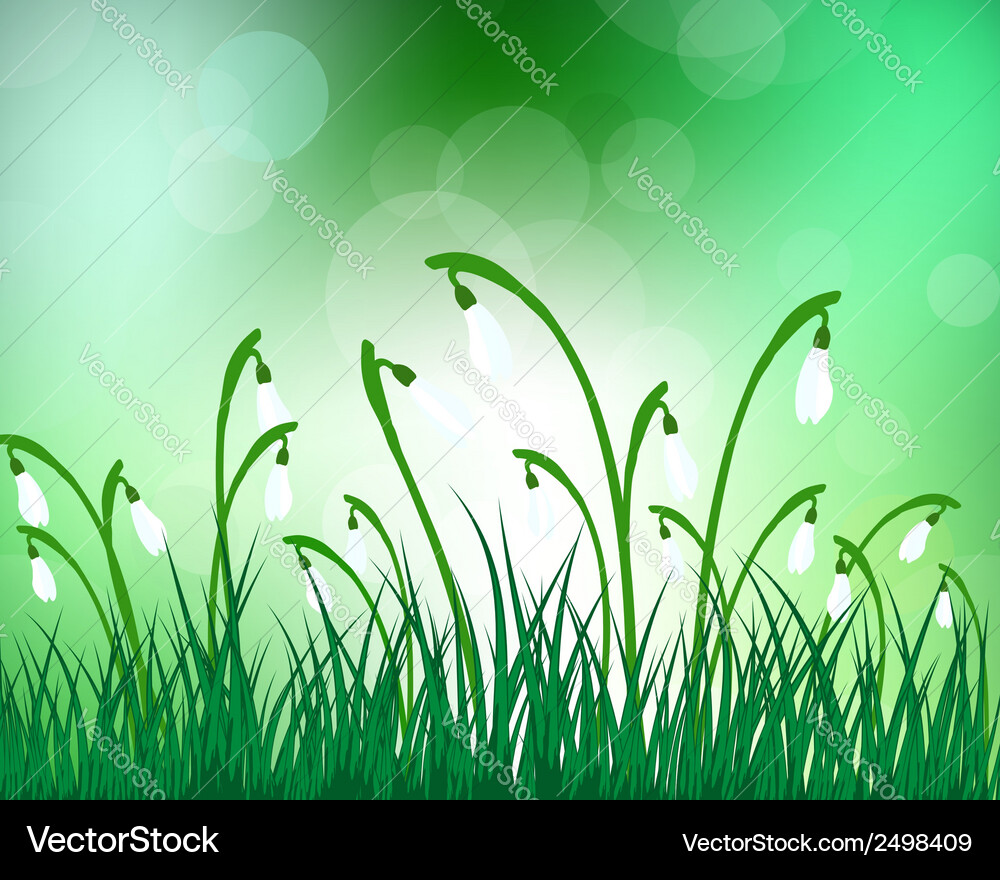 Grass Royalty Free Vector Image - VectorStock