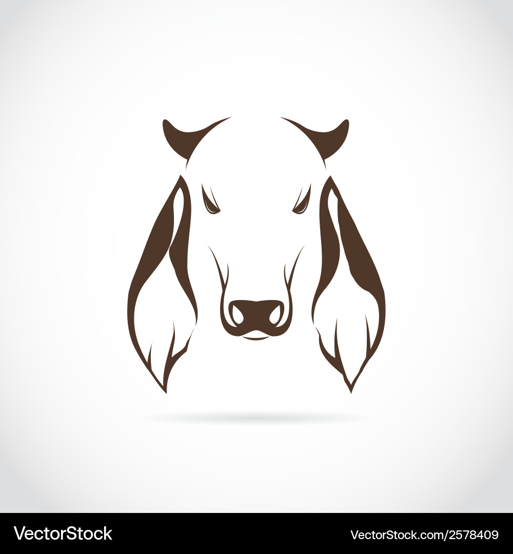 Image of cow head Royalty Free Vector Image - VectorStock