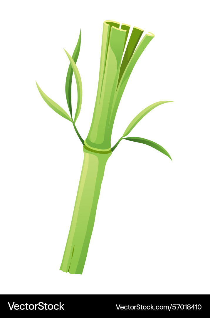Bamboo green stalk icon stem with leaf isolated Vector Image