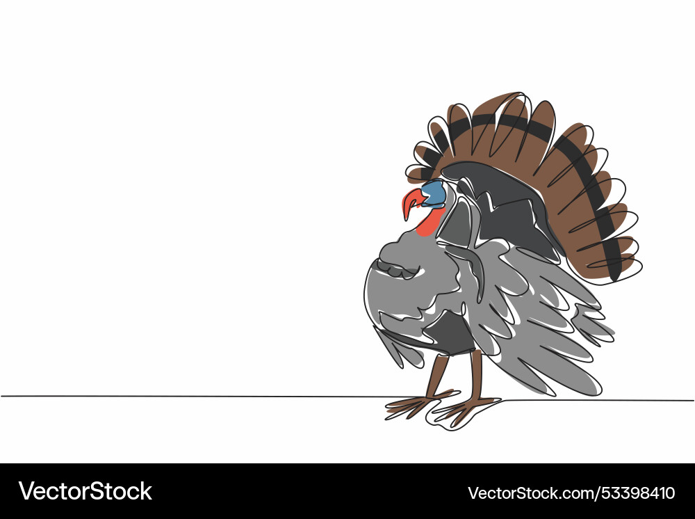 Continuous one line drawing the turkey large bird Vector Image