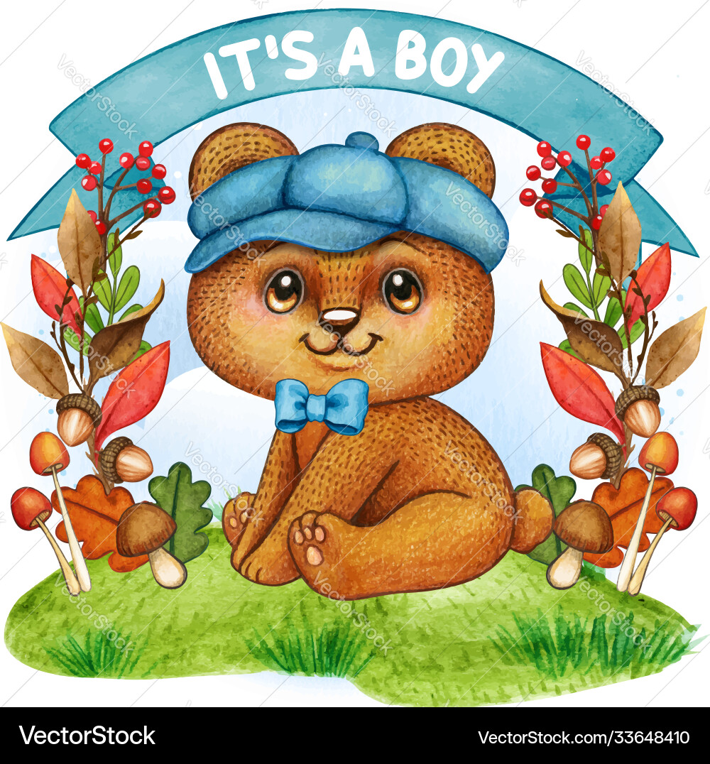 Cute watercolor bear boy baby Royalty Free Vector Image