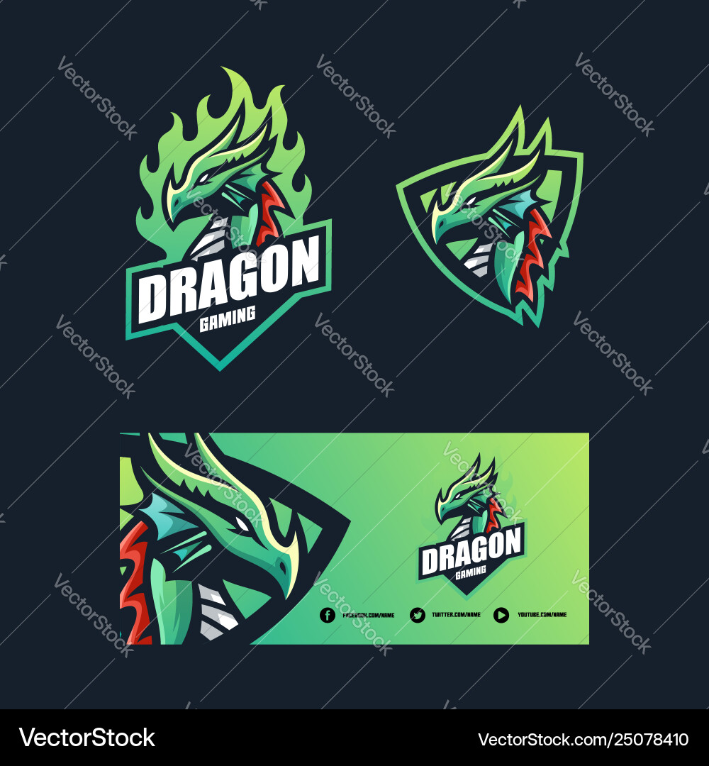 Dragon concept design template Royalty Free Vector Image