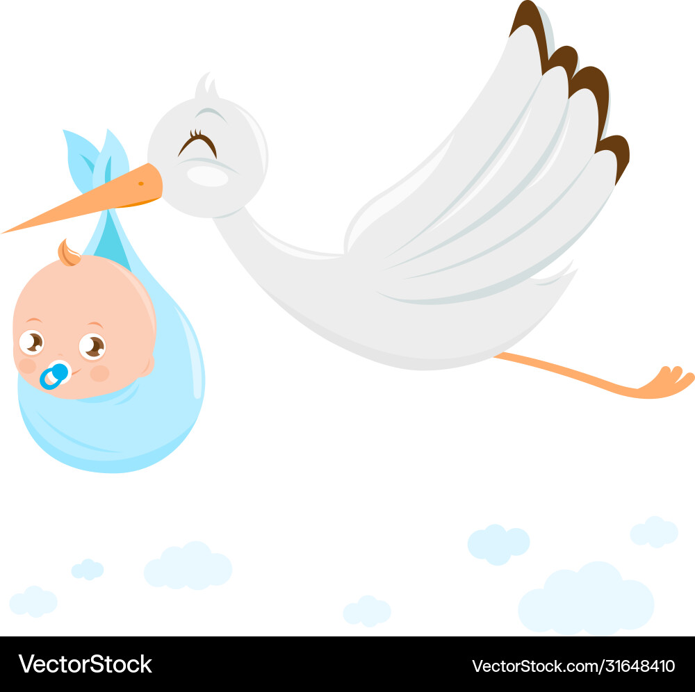 Stork Delivering Baby Boy Royalty Free Vector Image