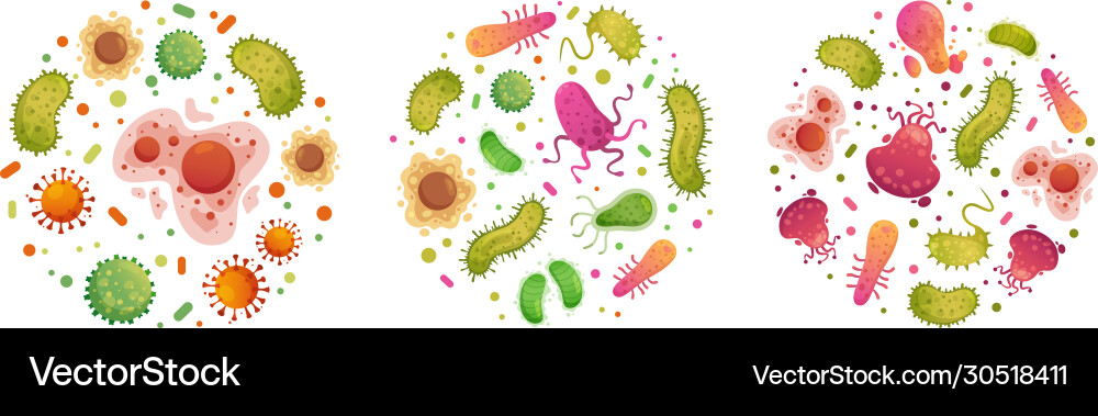 Bacteria and germ in circle bacterias disease Vector Image