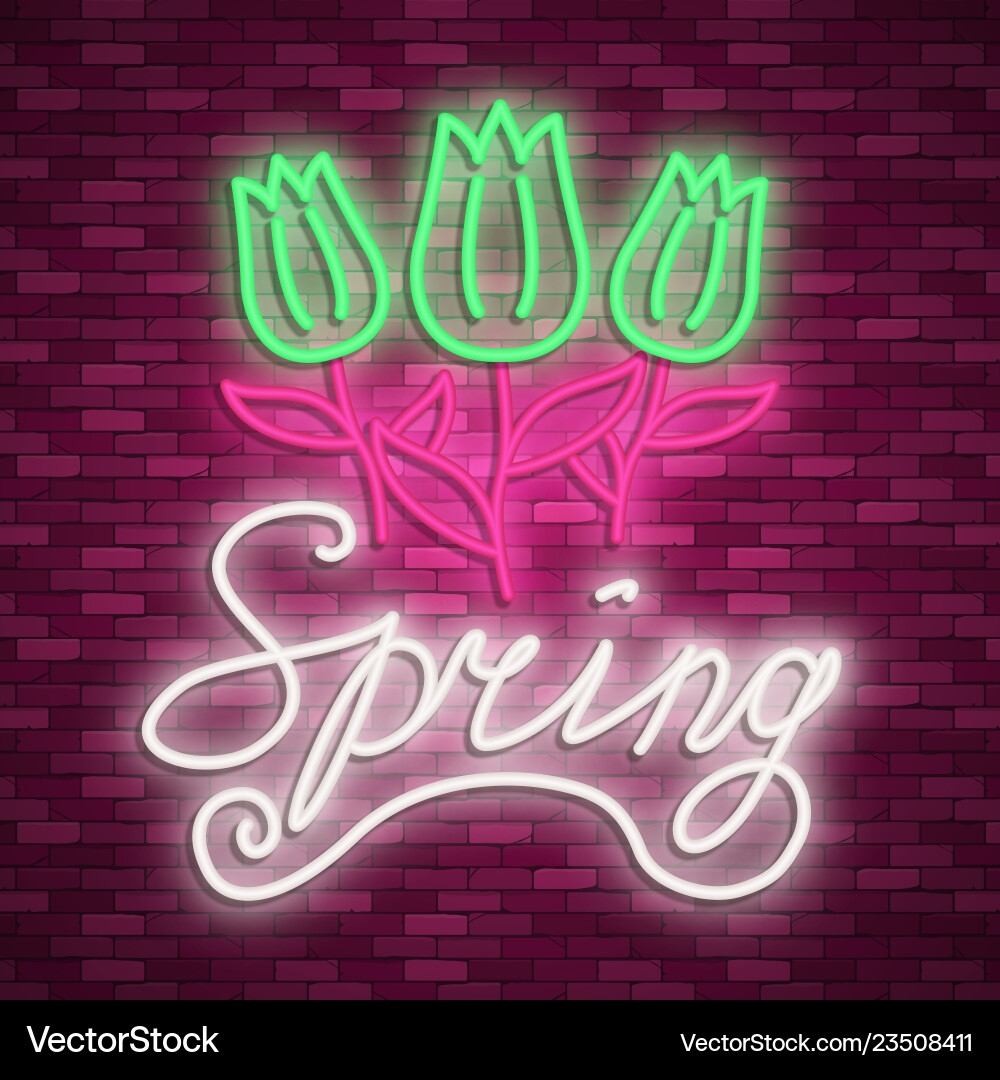 Neon banner spring stock poster Royalty Free Vector Image