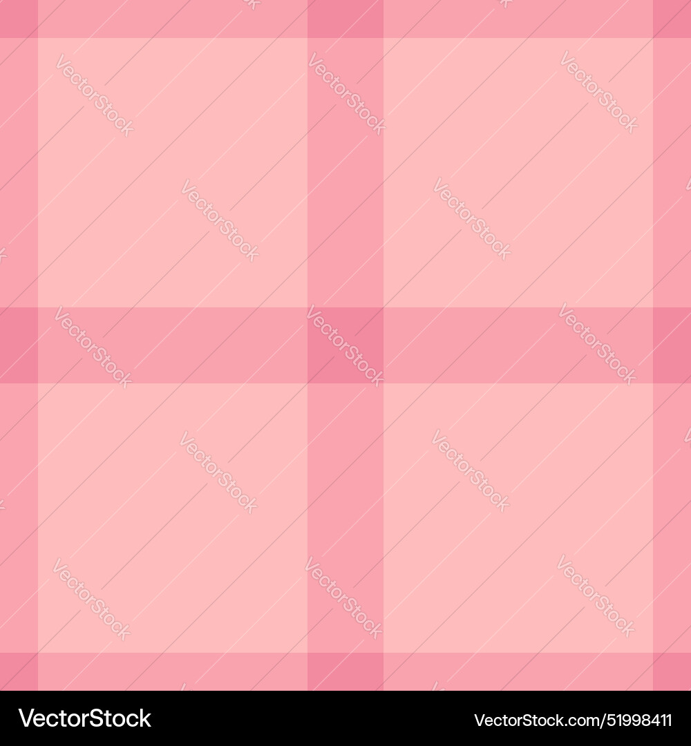 Surface textile tartan pattern pretty plaid Vector Image