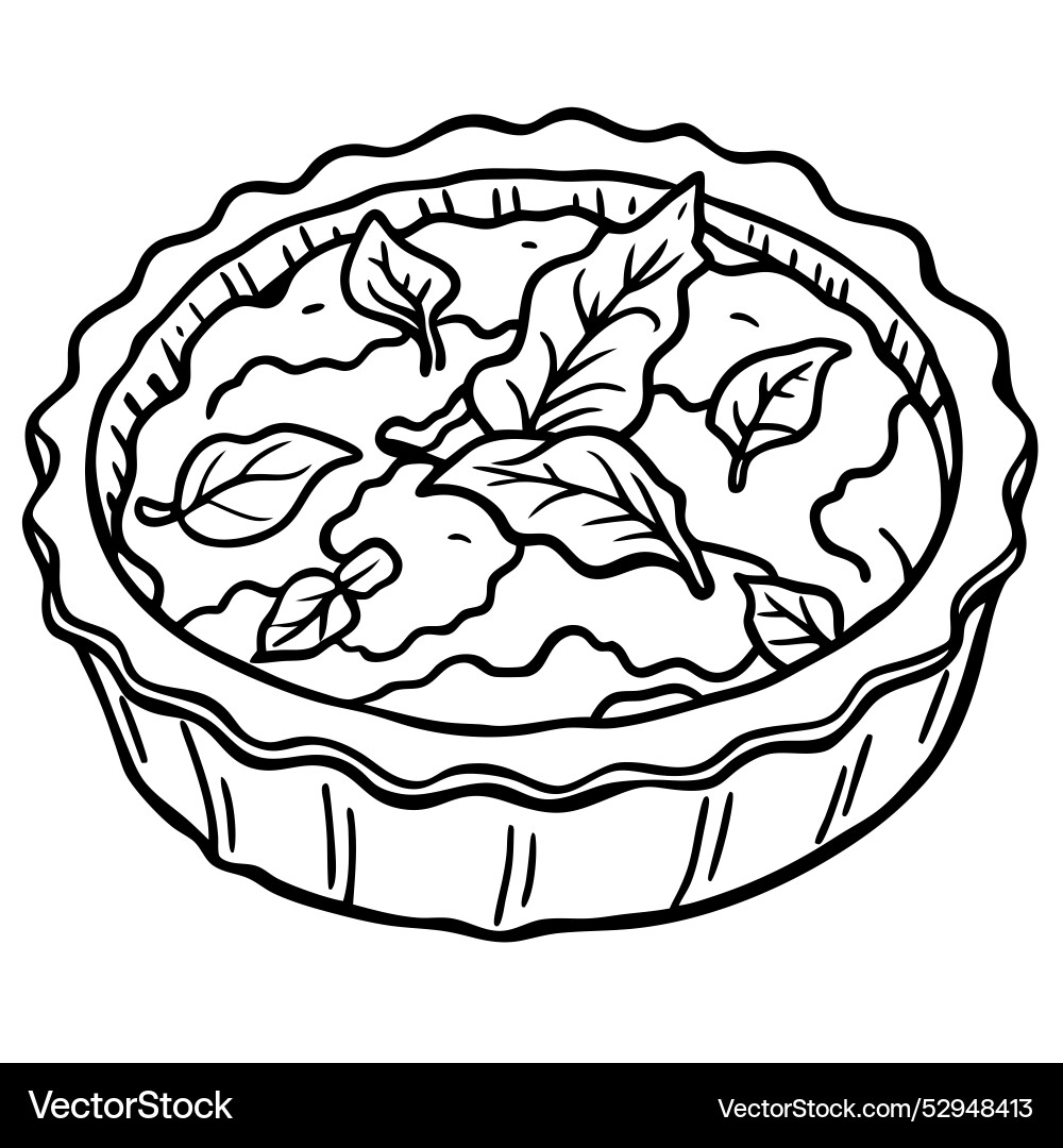 Delicious quiche with crispy bacon spinach Vector Image