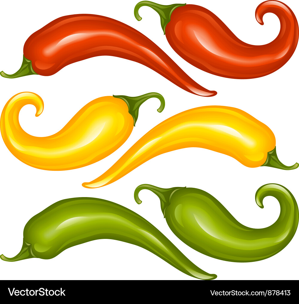 Hot chilli pepper Royalty Free Vector Image - VectorStock
