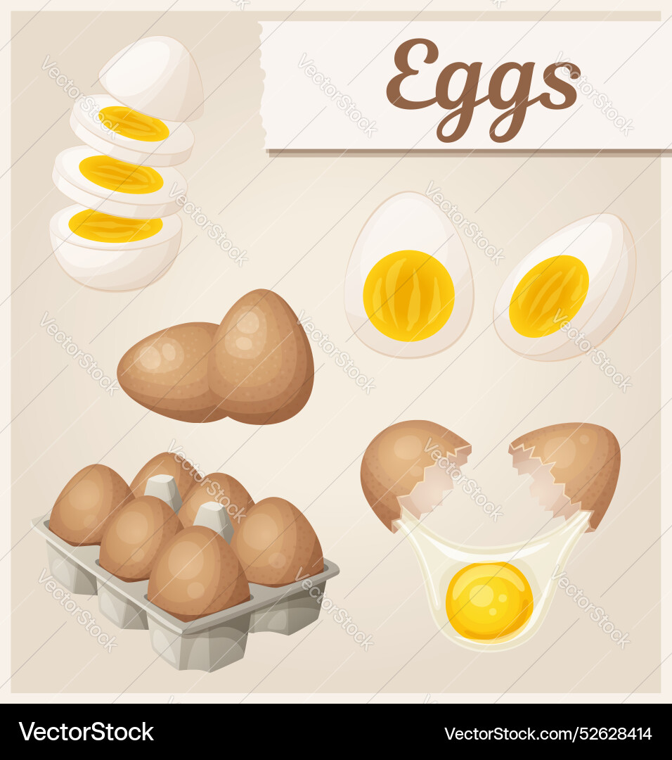 Collection of eggs prepared differently cartoon Vector Image