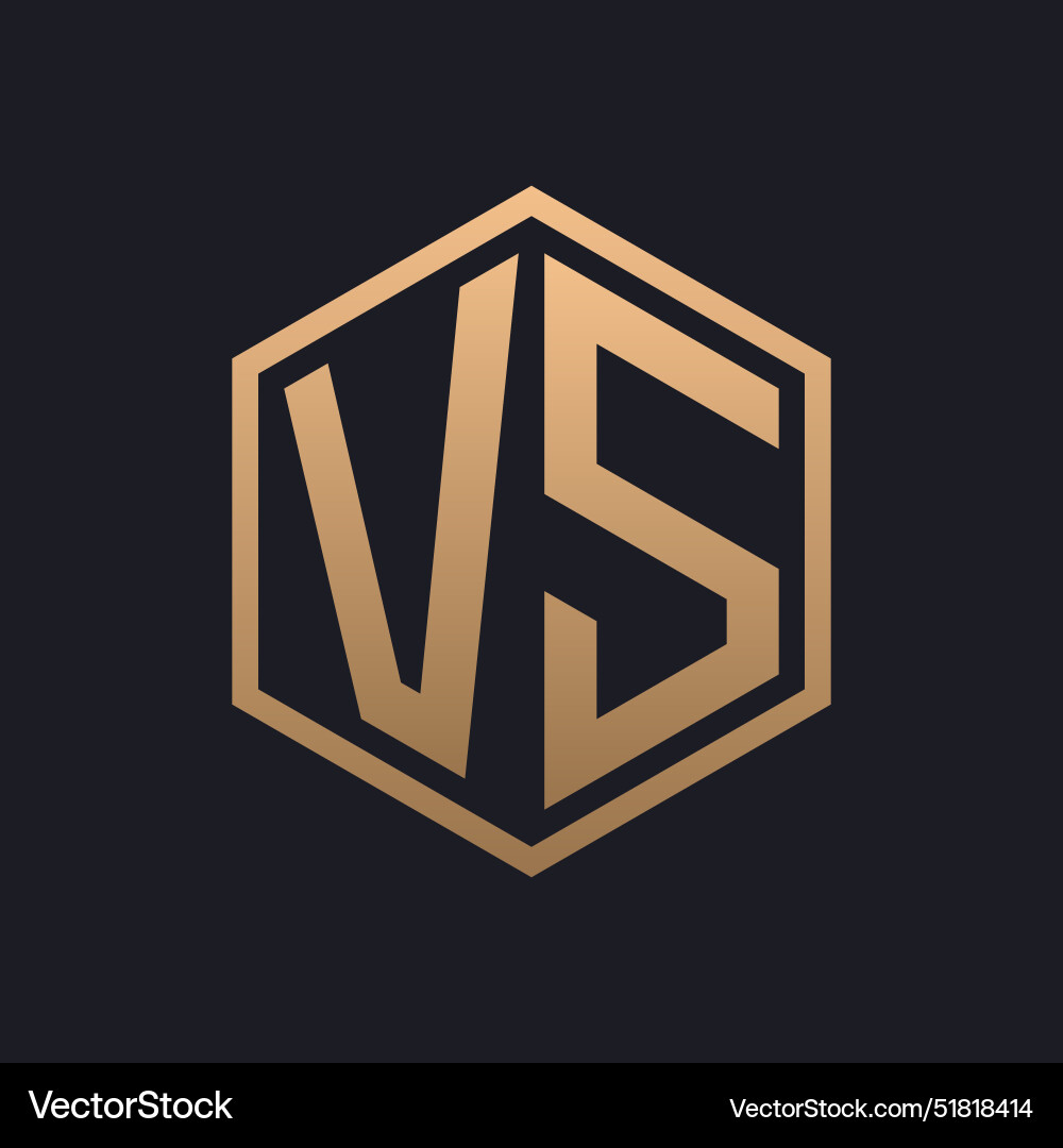 Elegant hexagon letter vs logo design initial Vector Image