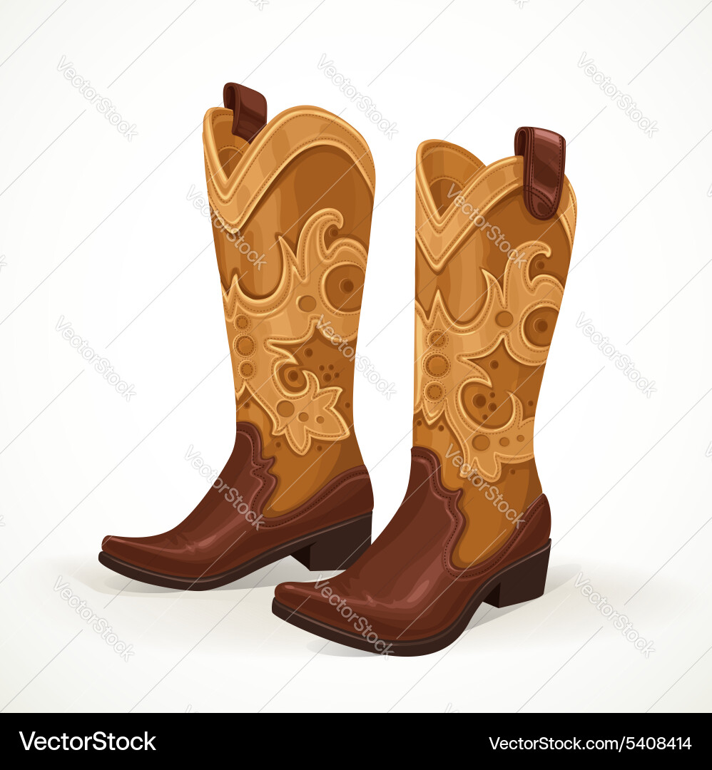 Embroidered Cowboy Boots Royalty Free Vector Image