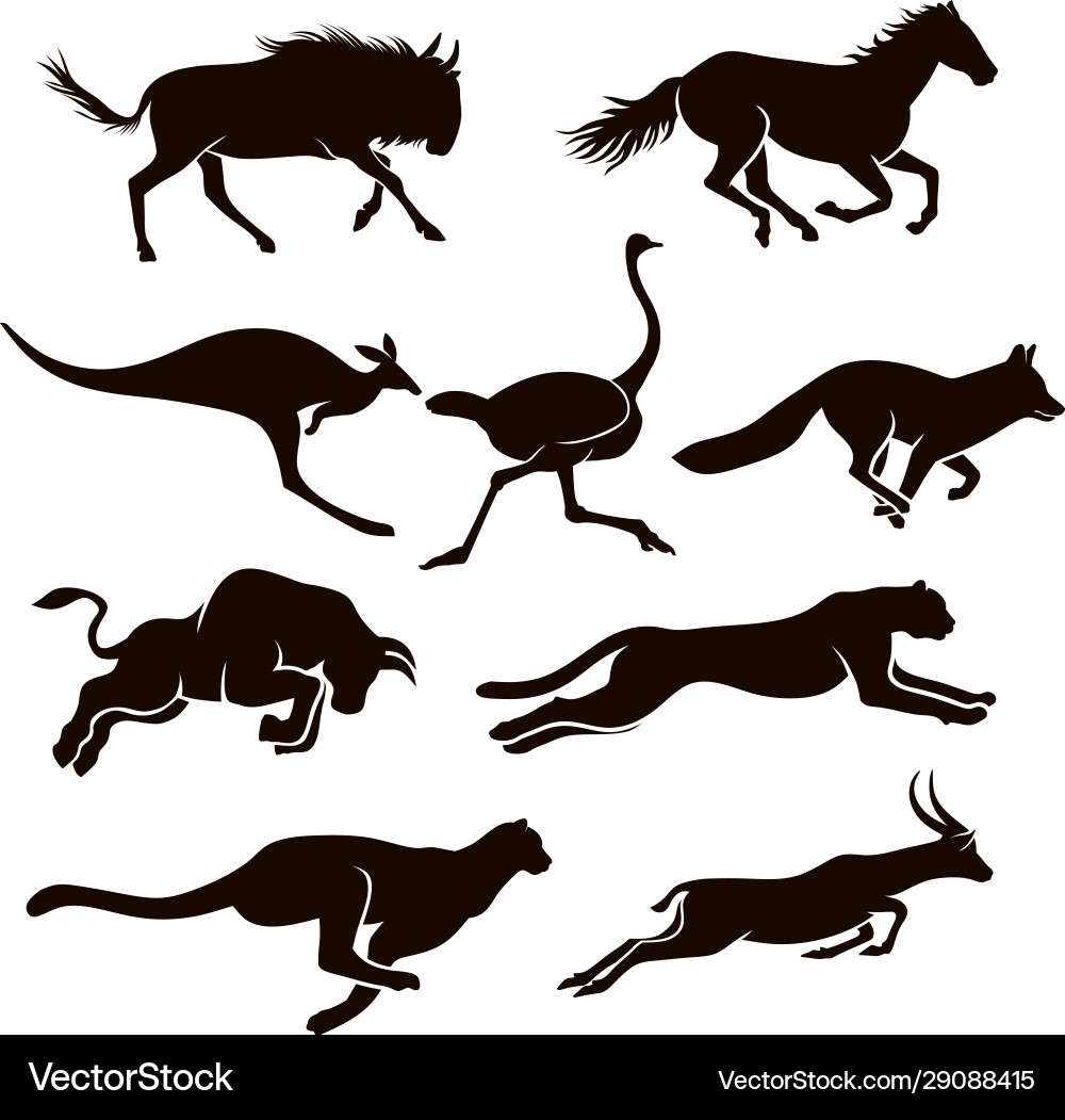 Silhouettes running animal logo Royalty Free Vector Image
