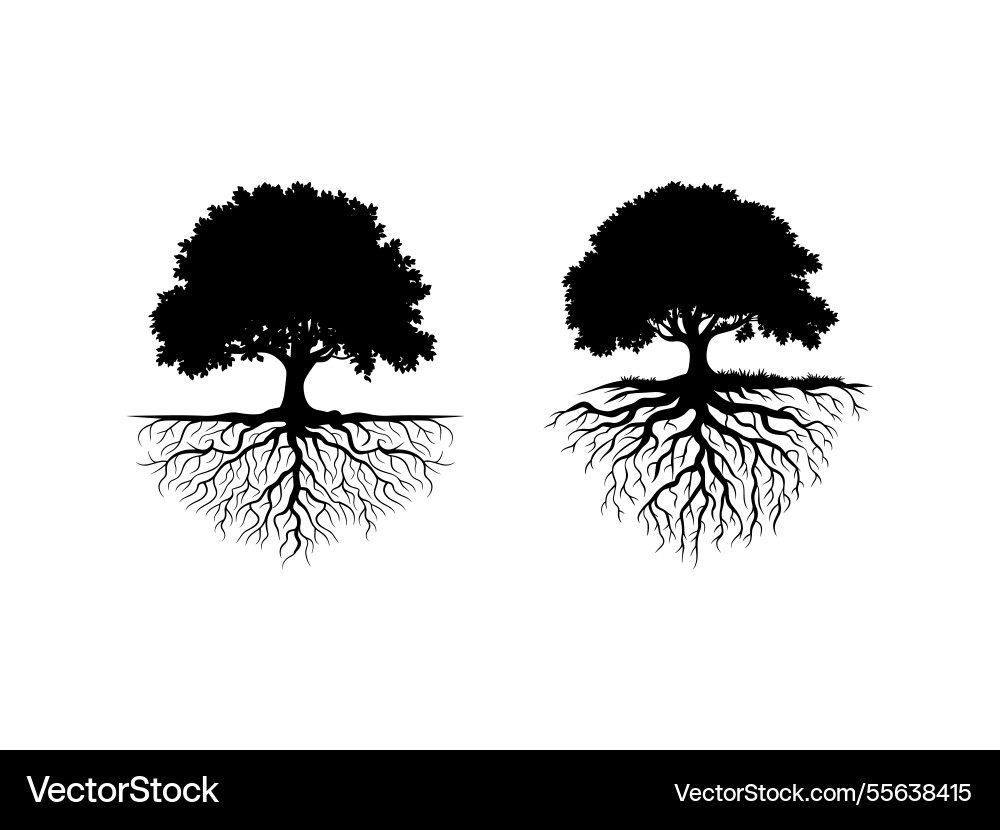 Tree with roots silhouette nature and growth art Vector Image