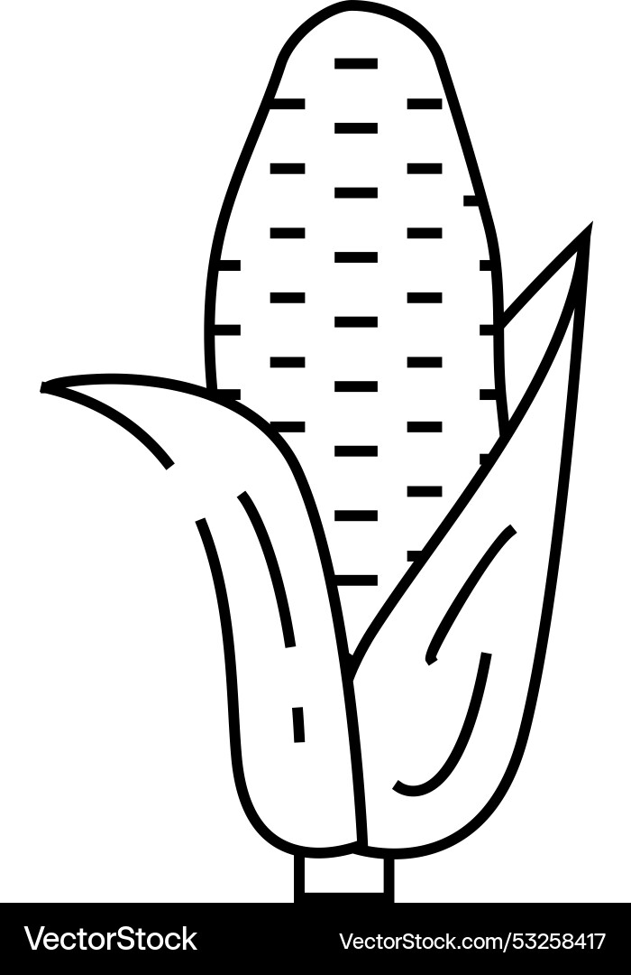 Purple corn line icon Royalty Free Vector Image