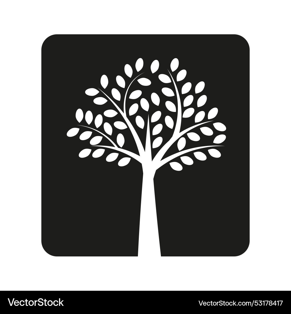 Tree square great design for any purposes old Vector Image