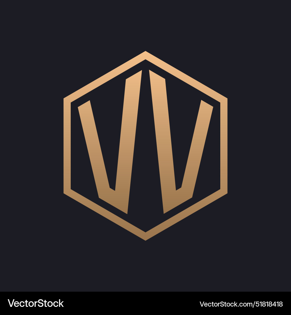 Elegant hexagon letter vv logo design initial Vector Image