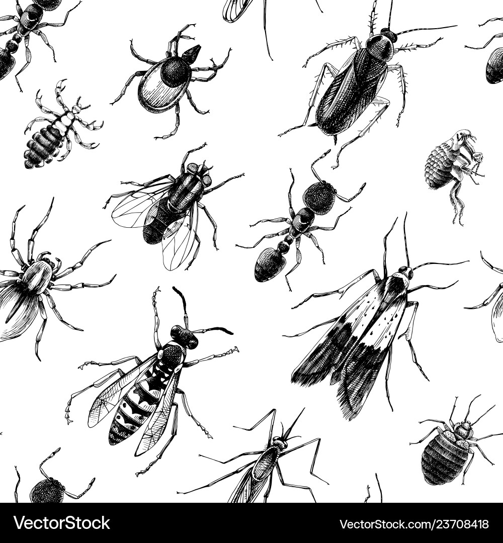 Pest control seamless pattern Royalty Free Vector Image