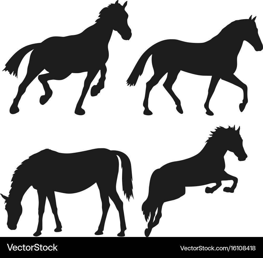 Wild horses silhouette Royalty Free Vector Image