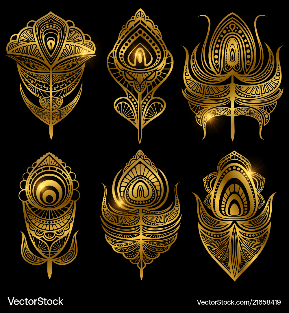 Golden feathers isolated on black Royalty Free Vector Image