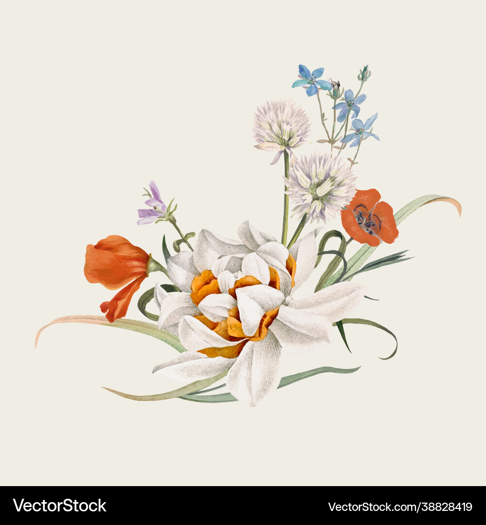 Public Domain Vector Images (over 450)