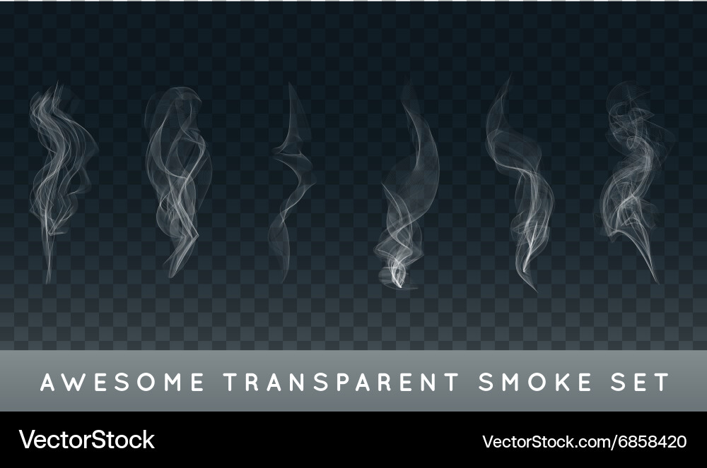 Collection or set of realistic cigarette smoke Vector Image