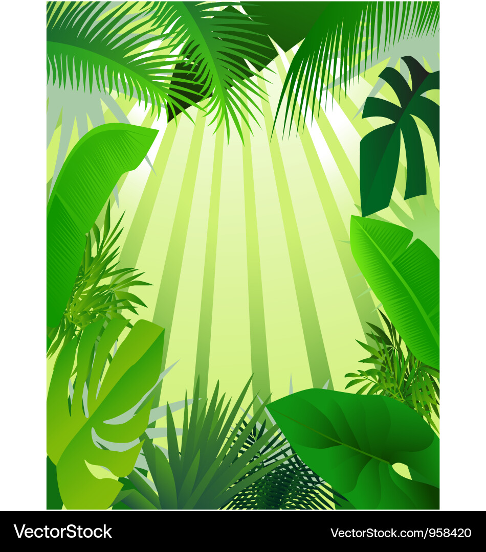 Nature forest background Royalty Free Vector Image
