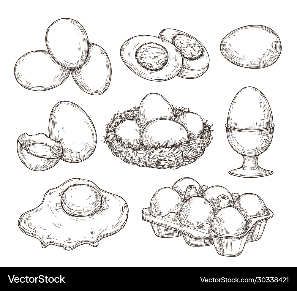 Scrambled Eggs Vector Images (over 6,800)
