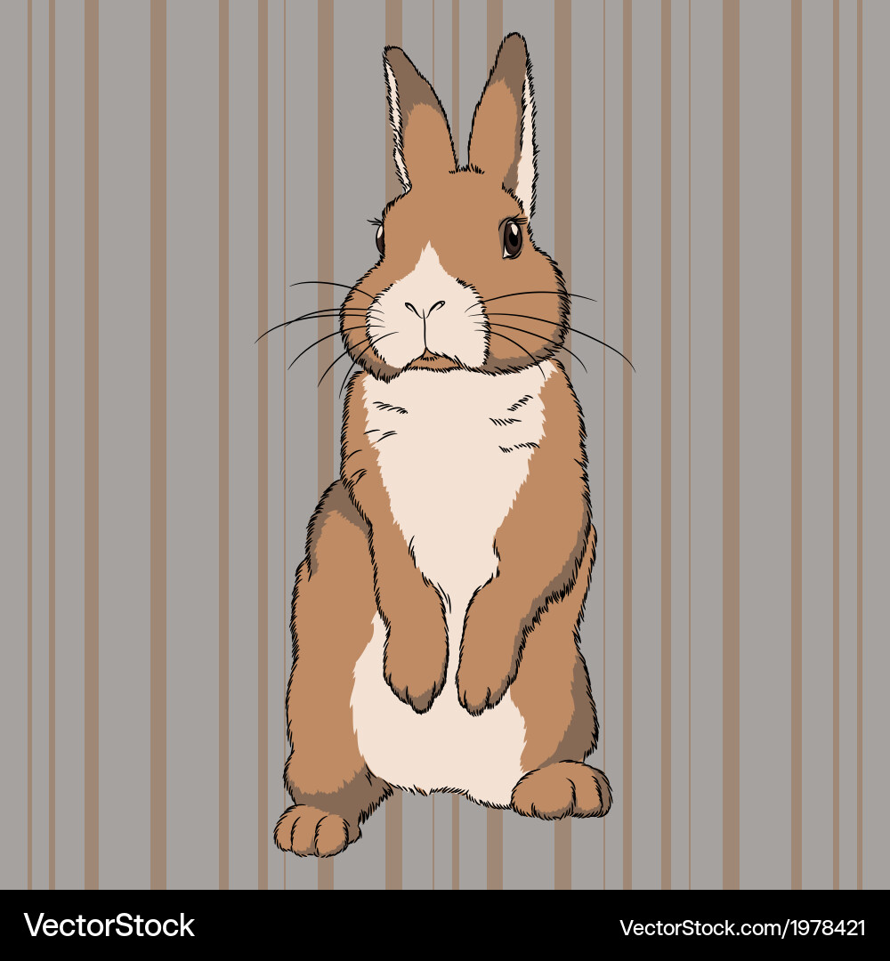 Fluffy Brown Rabbit Royalty Free Vector Image - VectorStock