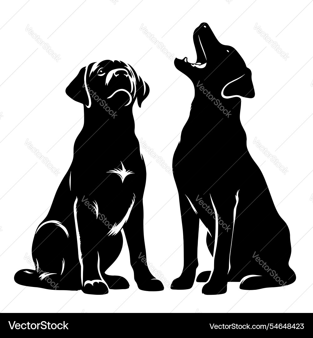 Two black labrador retrievers sitting Royalty Free Vector