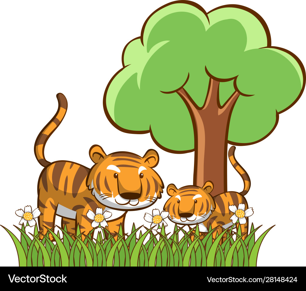 Isolated picture tigers in forest Royalty Free Vector Image