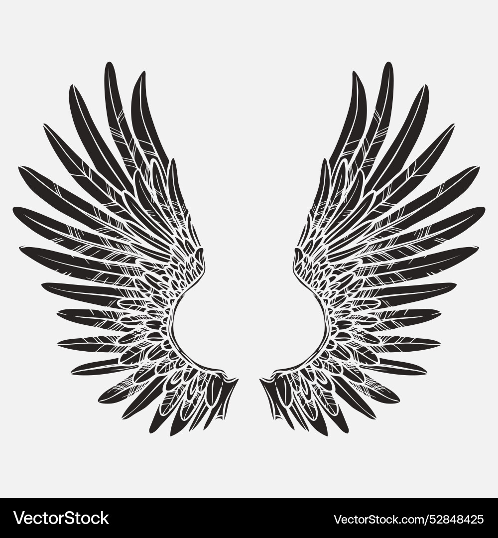 Wings design Royalty Free Vector Image - VectorStock