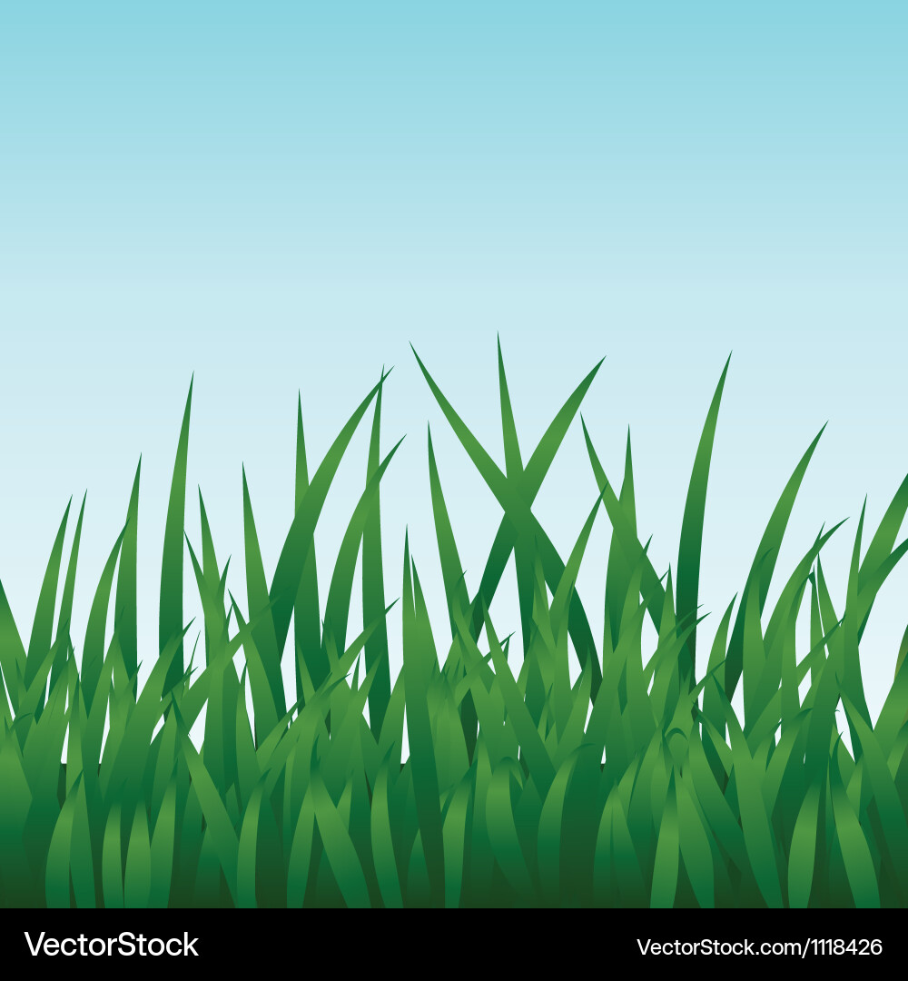Green grass Royalty Free Vector Image - VectorStock