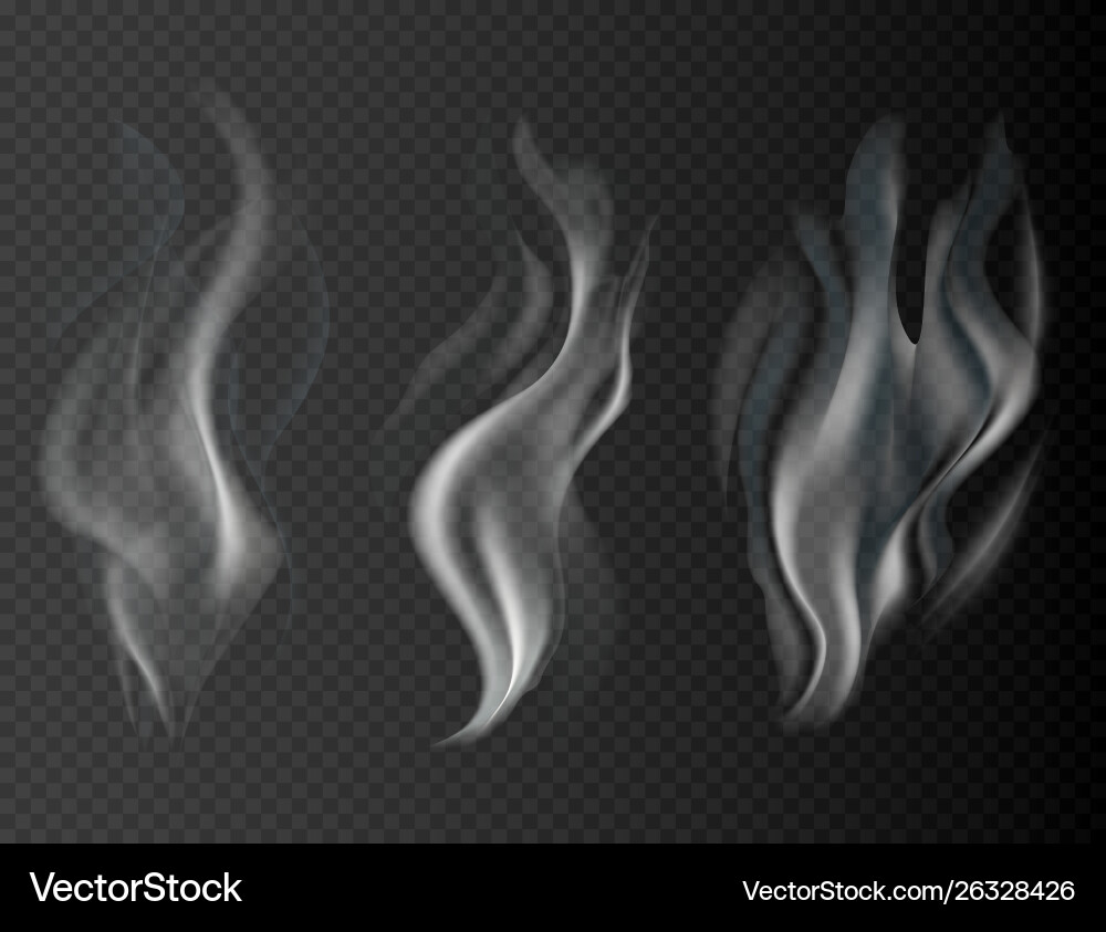 Smoke isolated on transparent background Vector Image