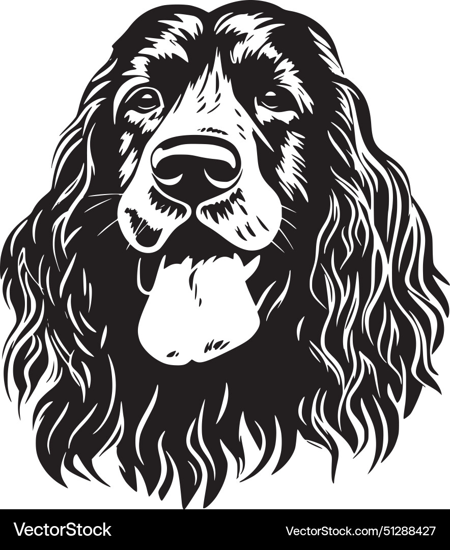 Cocker spaniel - black and white isolated icon Vector Image