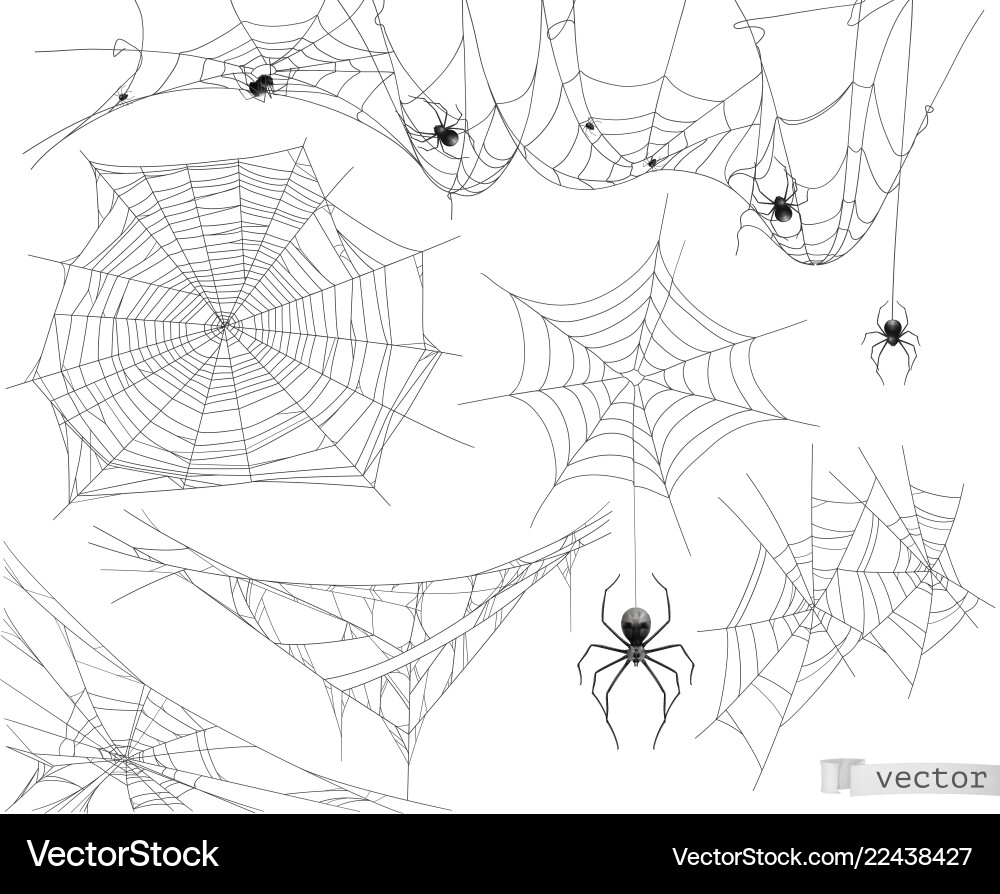 Spooky Spider Web Elements Royalty Free Vector Image
