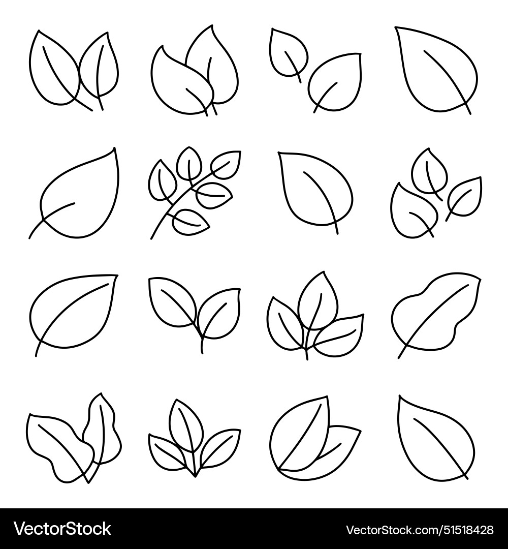 Leaves leaf outline line doodle freehand set Vector Image