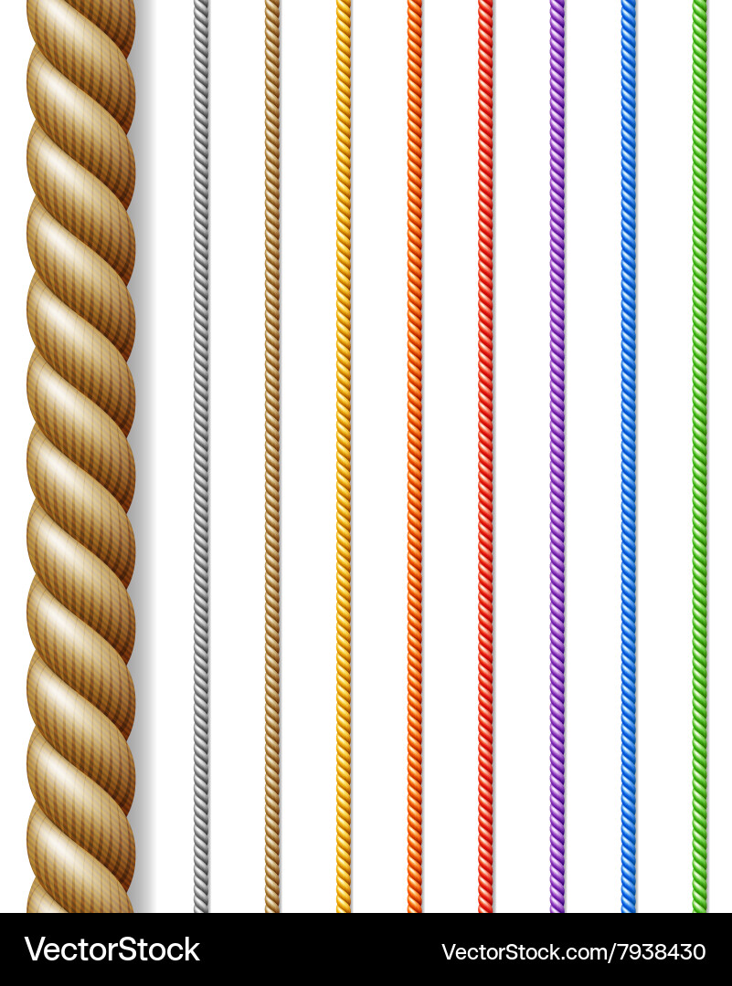 Multicolored Rope Set Royalty Free Vector Image